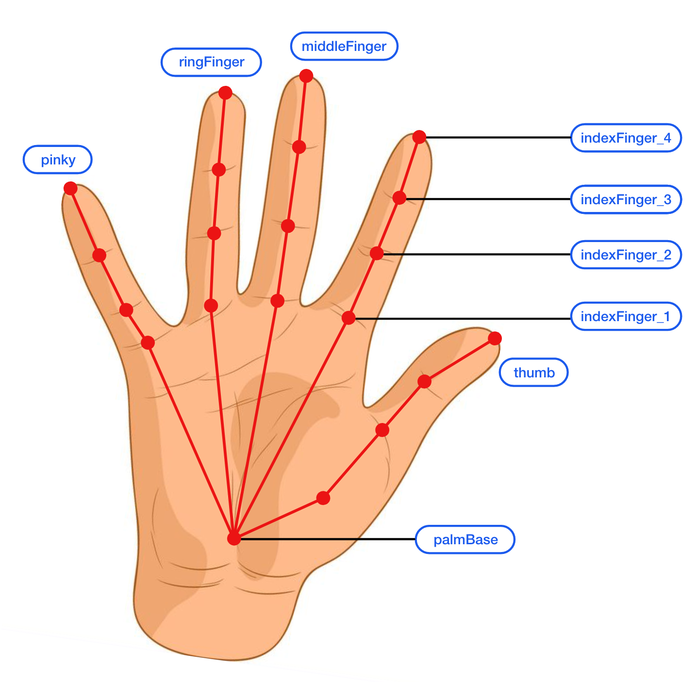EZ-MMLA Toolkit: HandPose